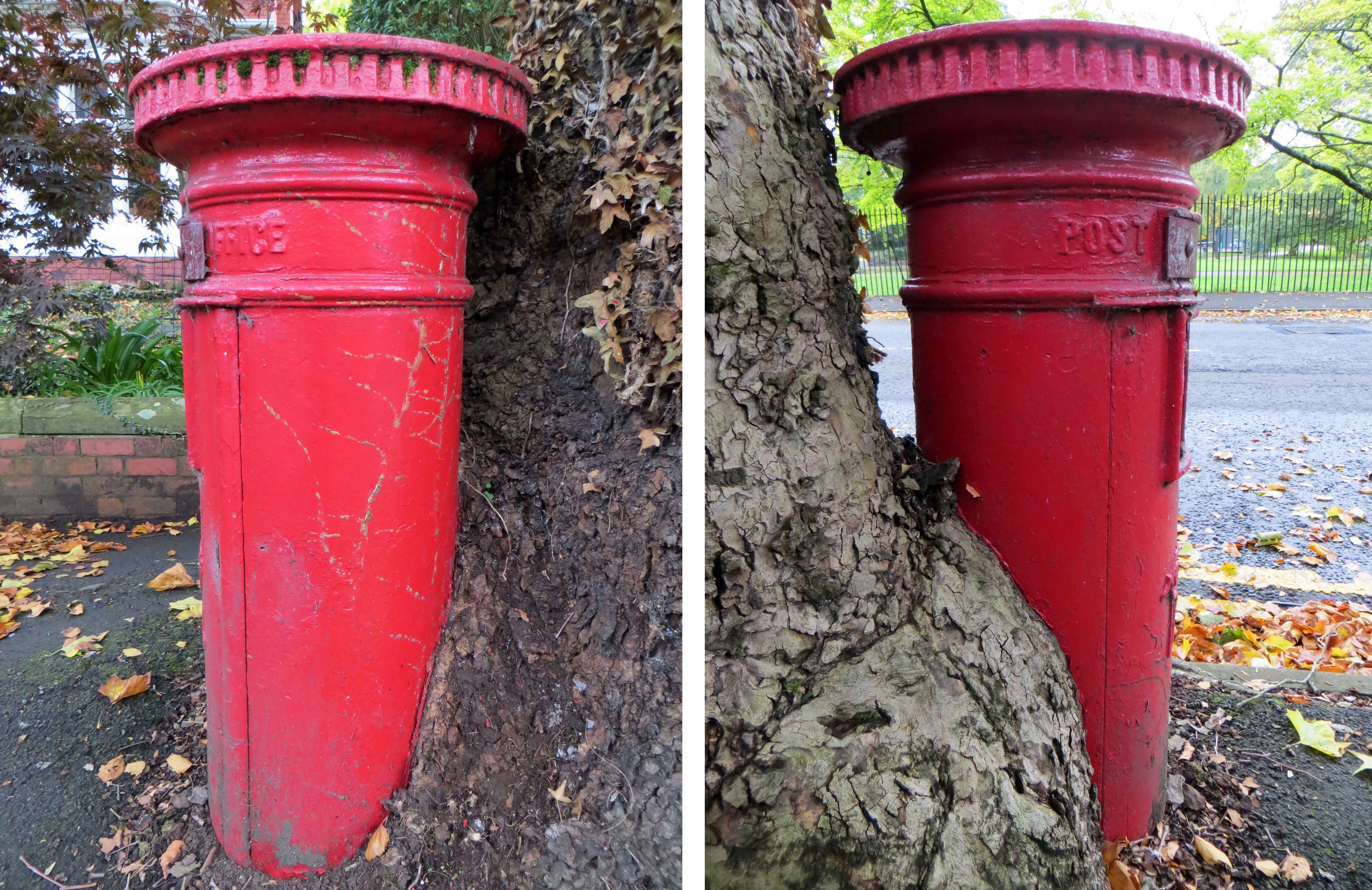 Hungry trees | earthstar