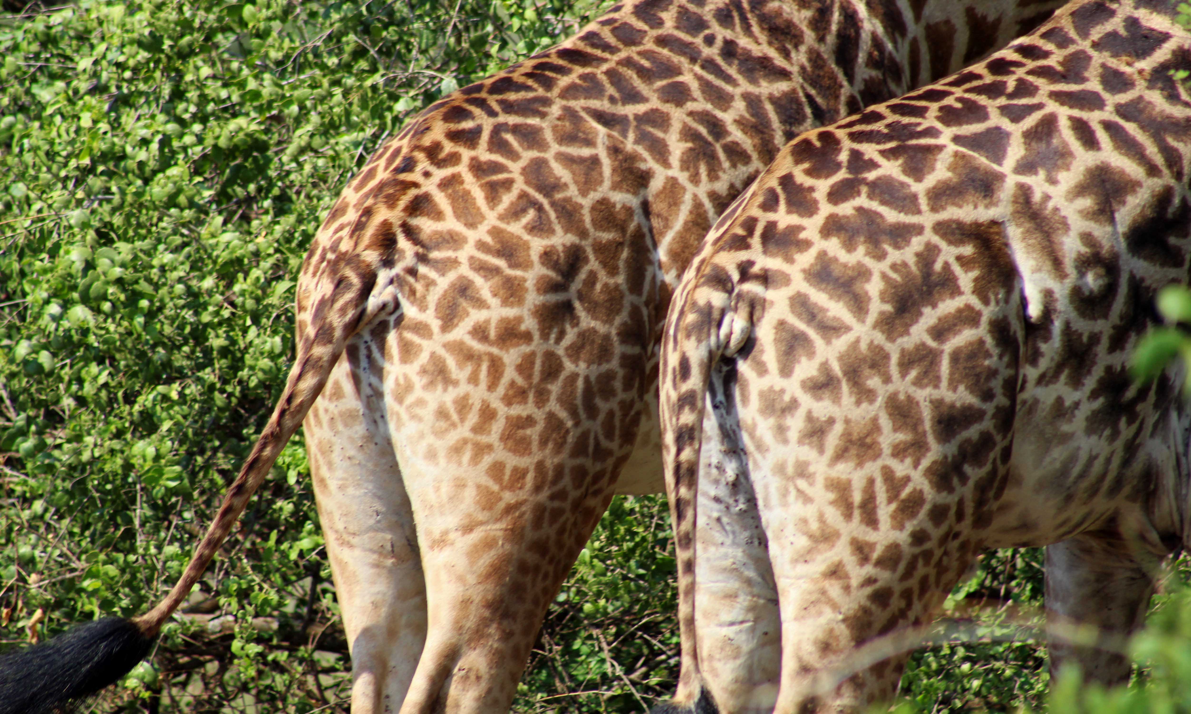 Bottoms up! | earthstar