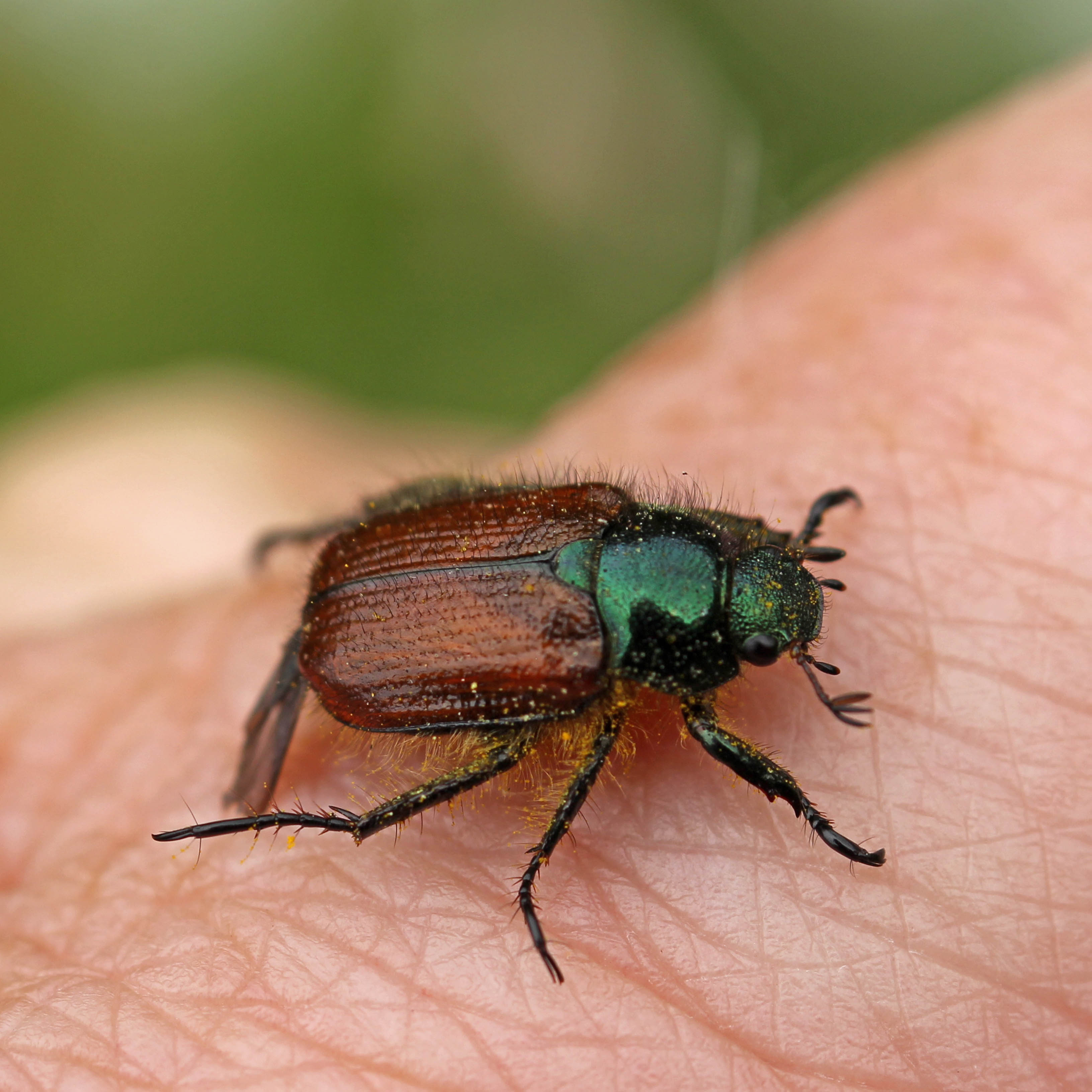 160610 coryton roundabout (12) | earthstar