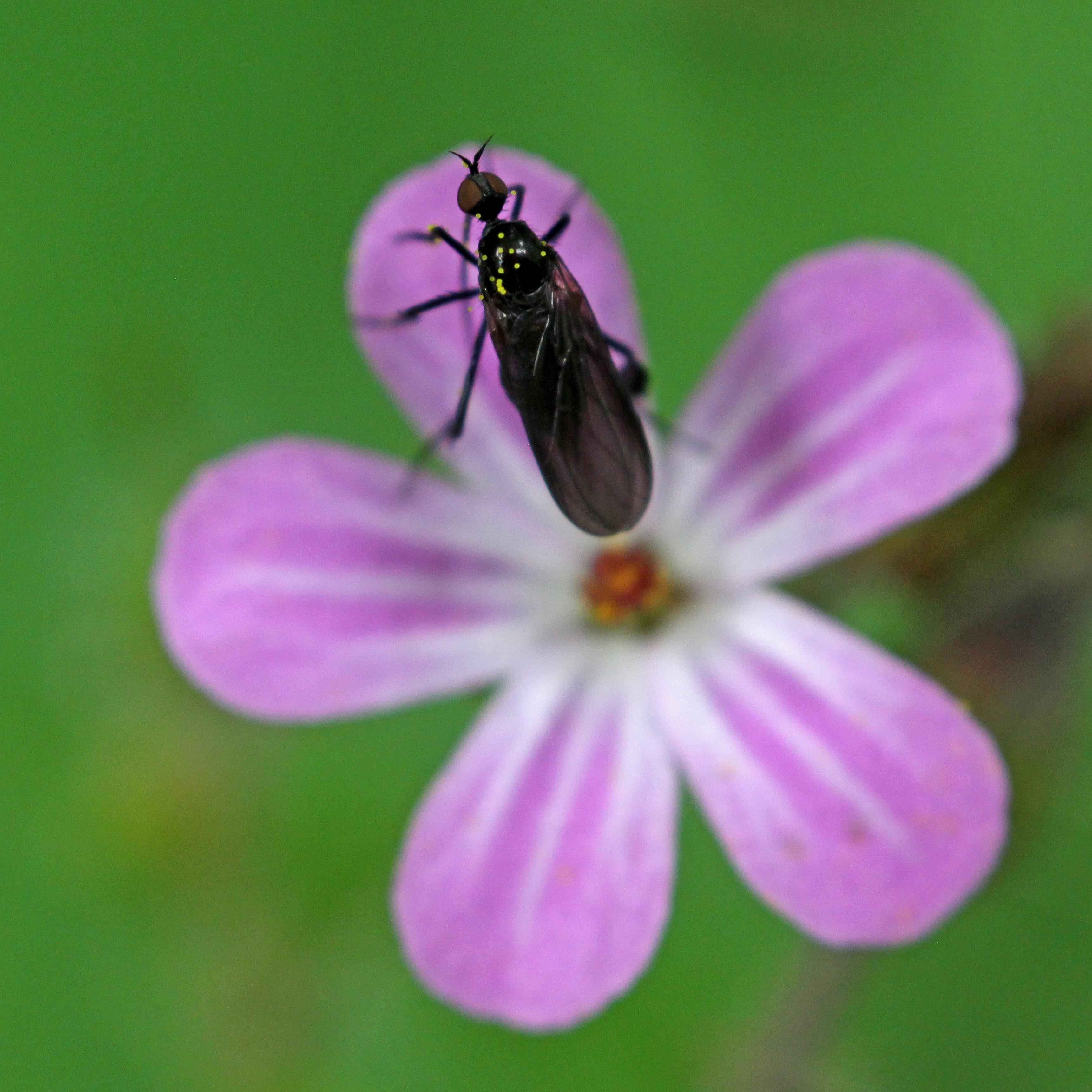 160610 coryton roundabout (13) | earthstar