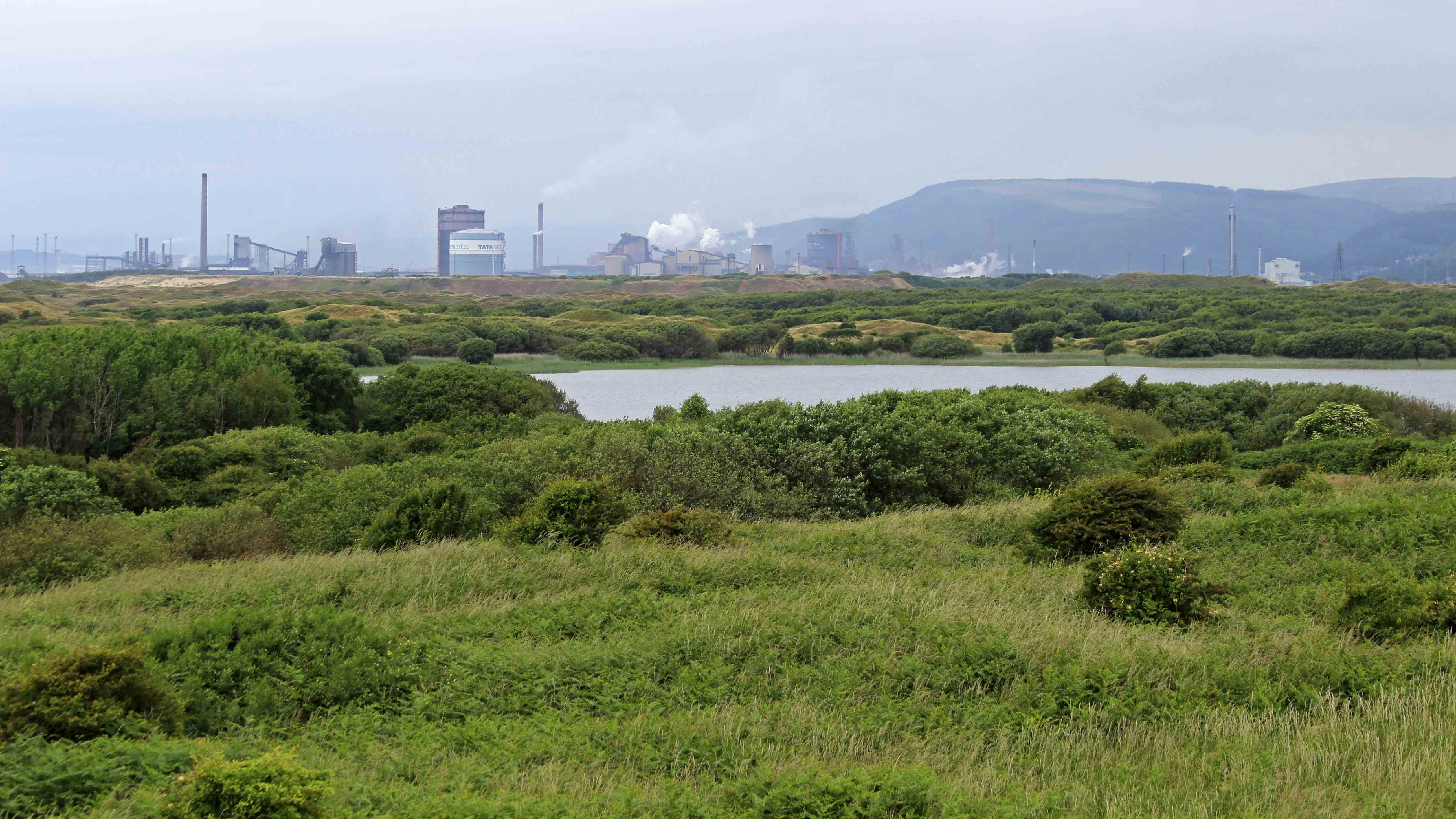 Birding at Kenfig | earthstar