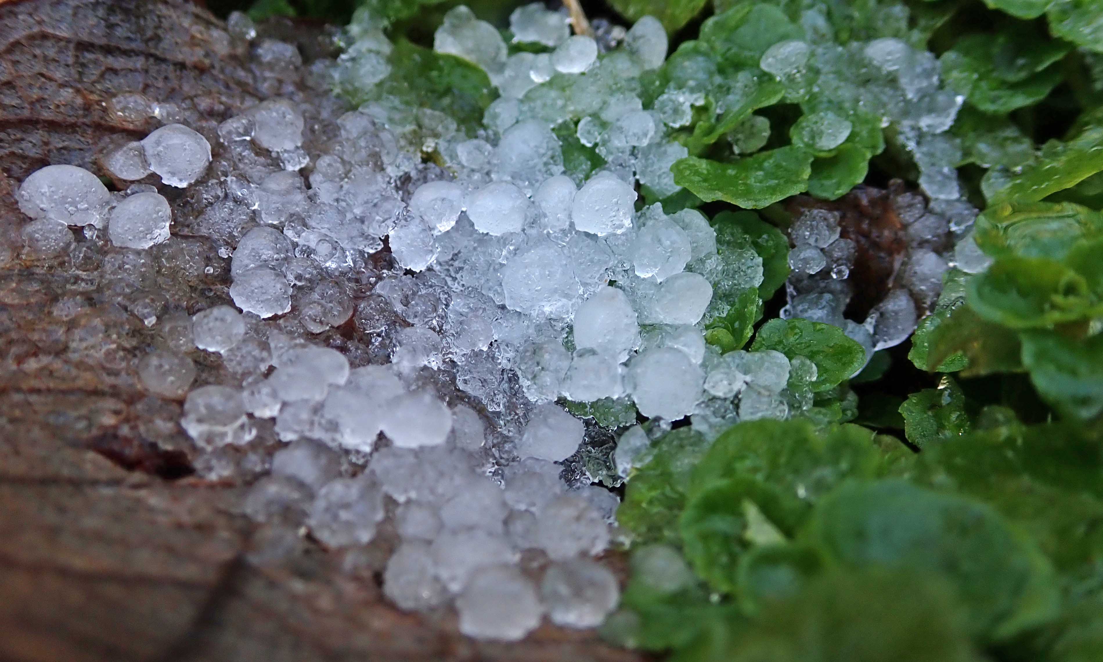 43/366 Hail and snow | earthstar