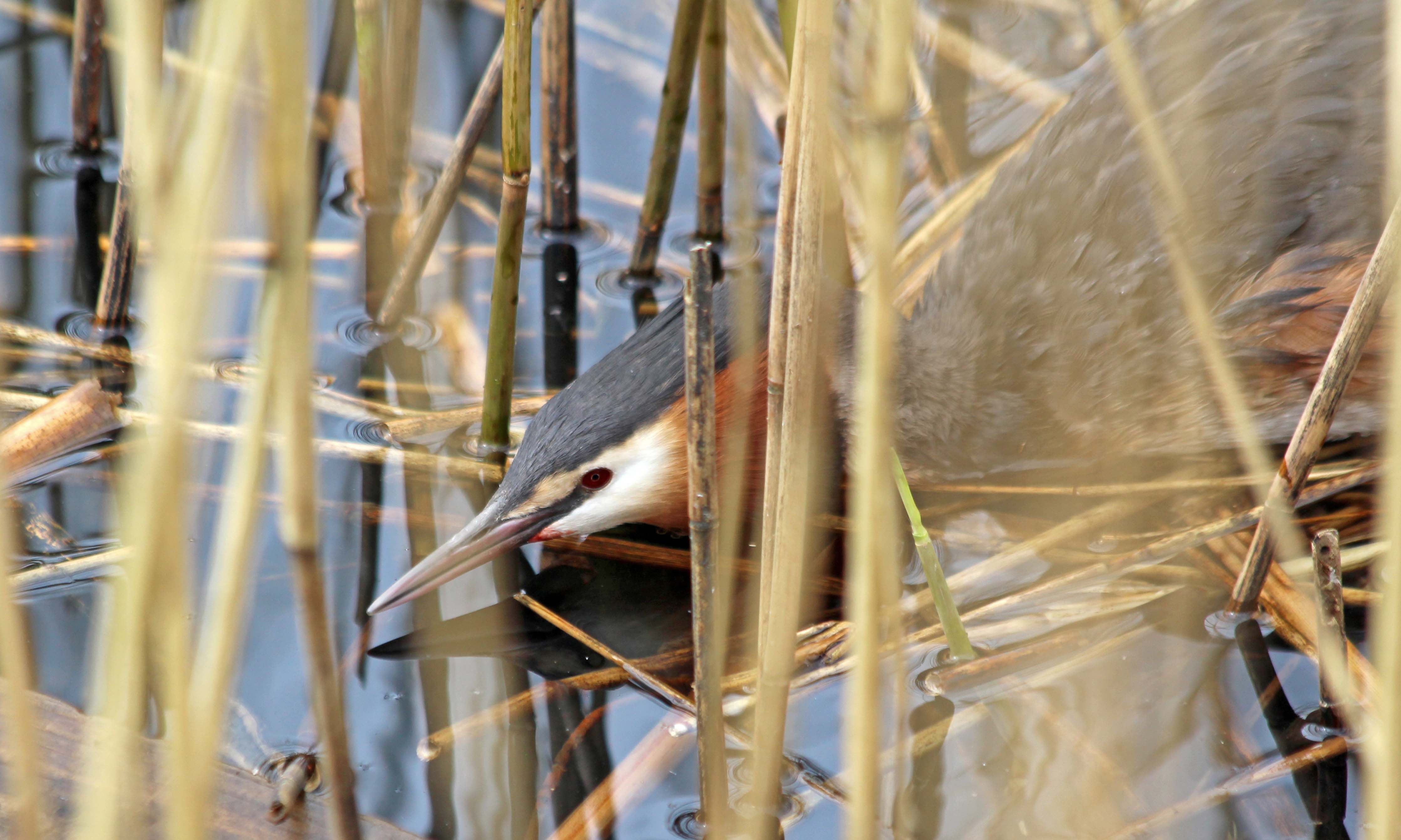 Love story with a twist | earthstar