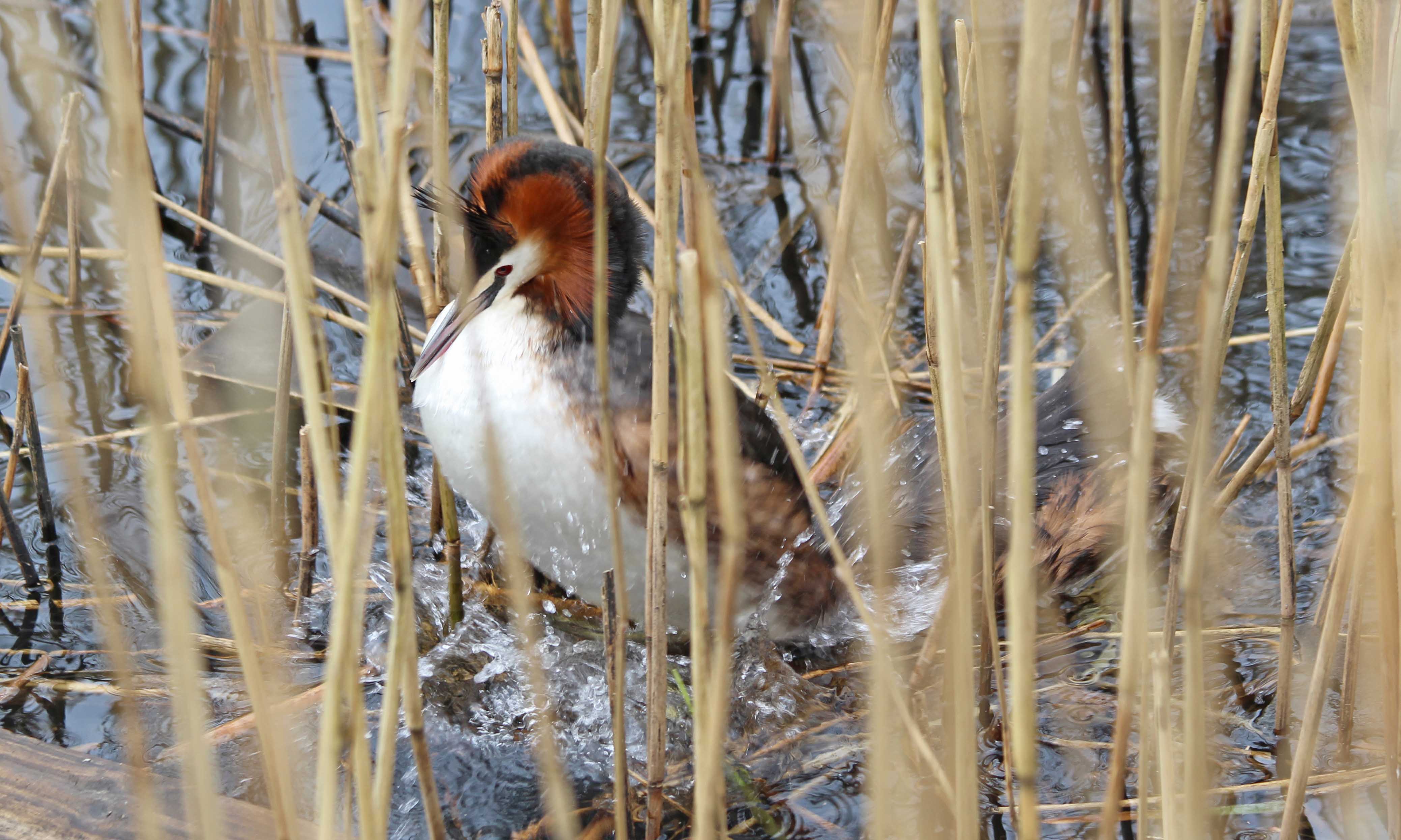 Love story with a twist | earthstar