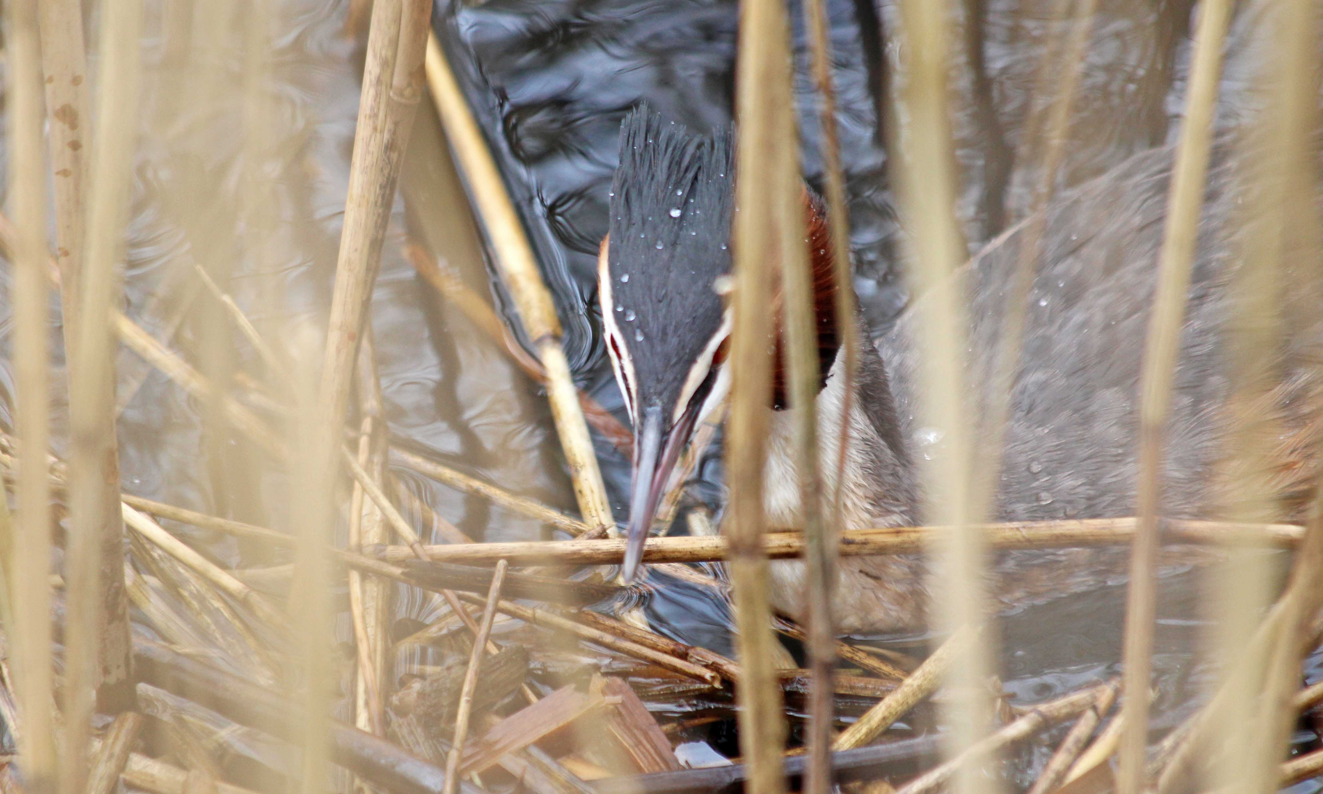 Love story with a twist | earthstar