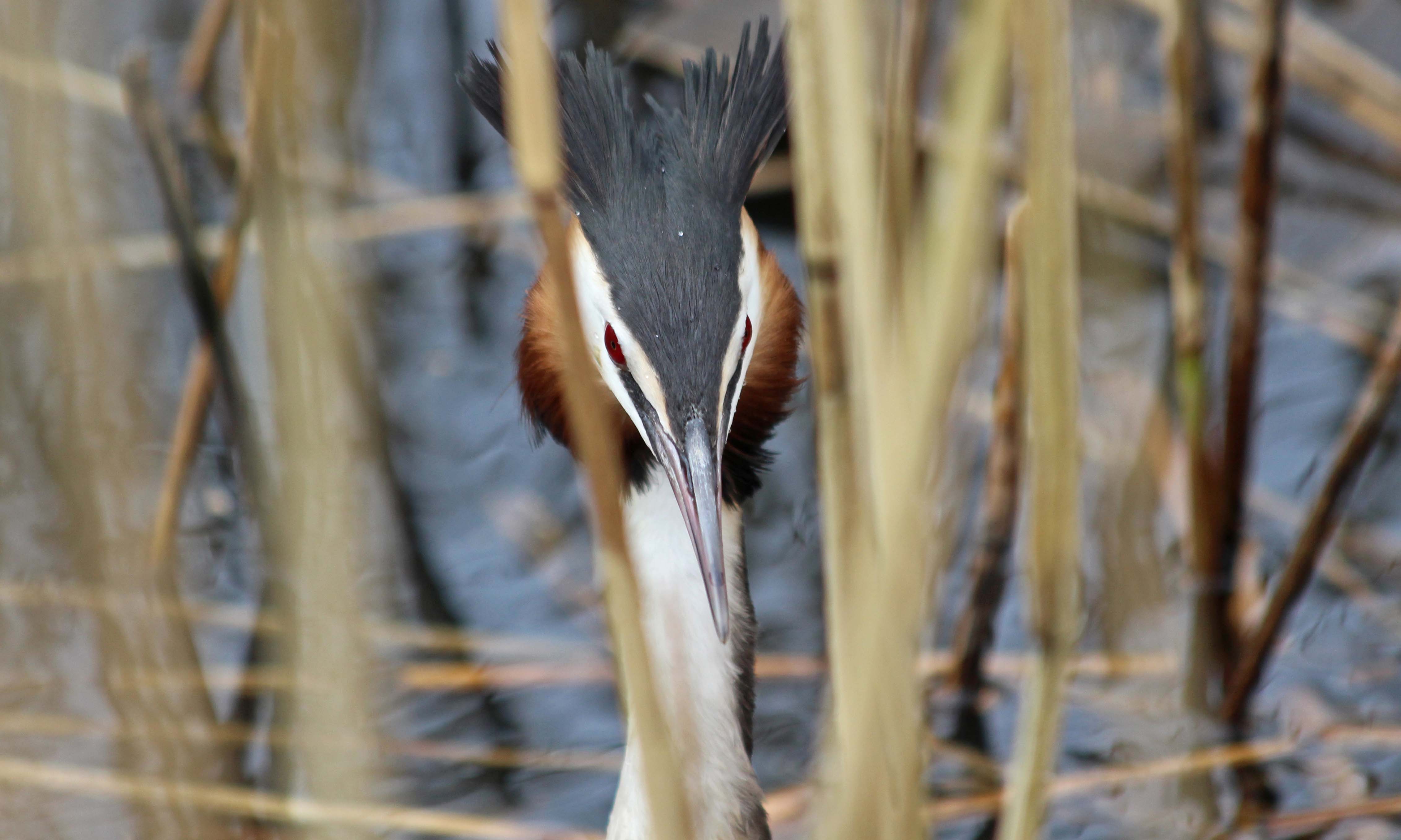 Love story with a twist | earthstar